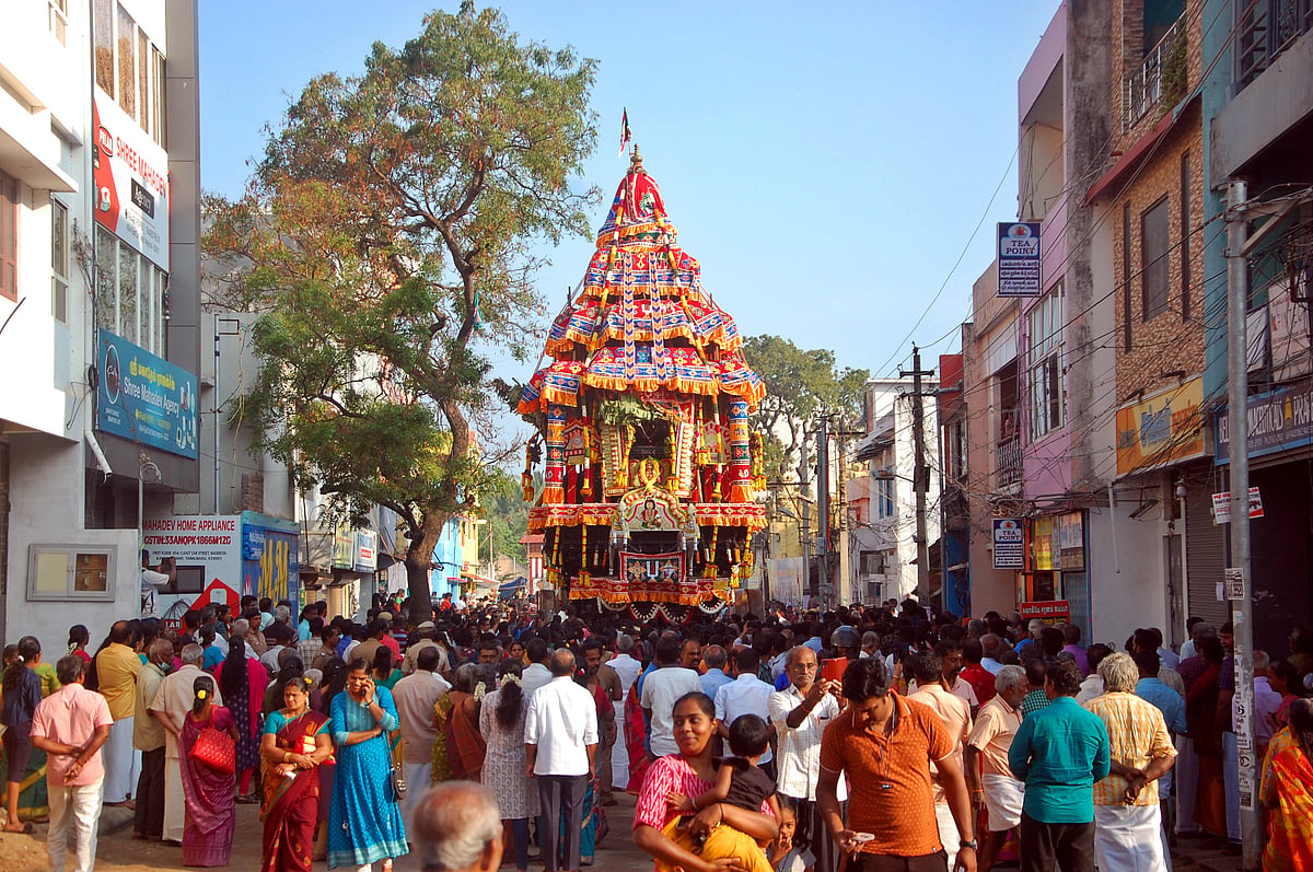 நாகர்கோவில் ஸ்ரீ நாகராஜா திருக்கோயில் தை பெருந்தேர் திருவிழா சிறப்புப் ...