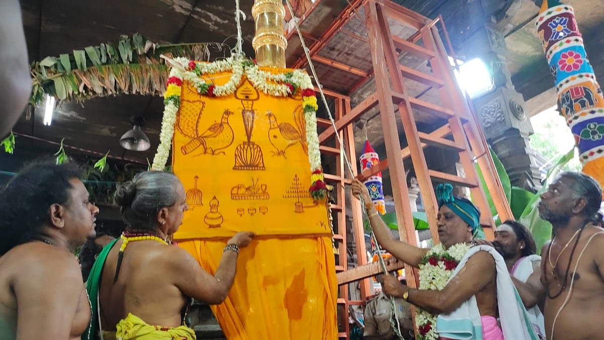 பழநி - பங்குனி உத்திரத் திருவிழா: திருக்கல்யாணம் மற்றும் தேரோட்டம் ...