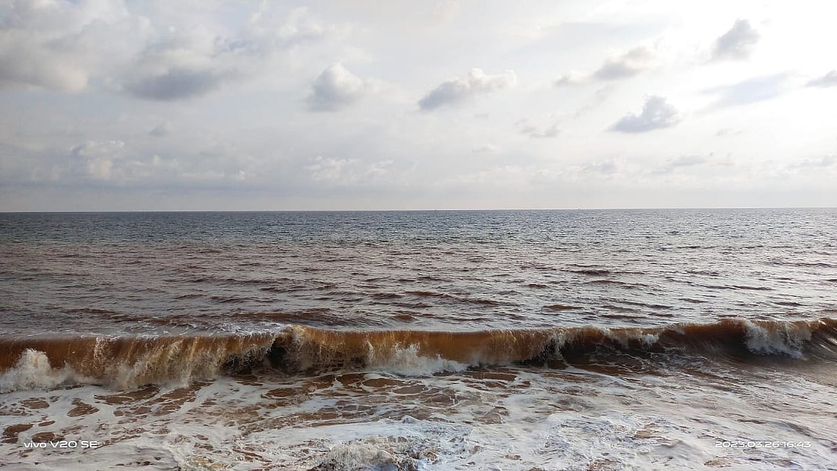 செந்நிறத்தில் மாறிய மணவாளக்குறிச்சி கடல்; மணல் ஆலை கழிவுகள் கலக்கிறதா ...