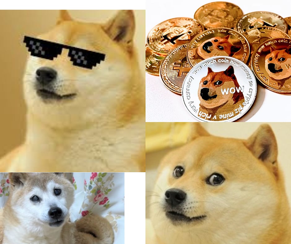 `யாரு சாமி நீ?!’ - மீம் முதல் ட்விட்டர் வரை... டோஜ் நாய் பற்றிய ...