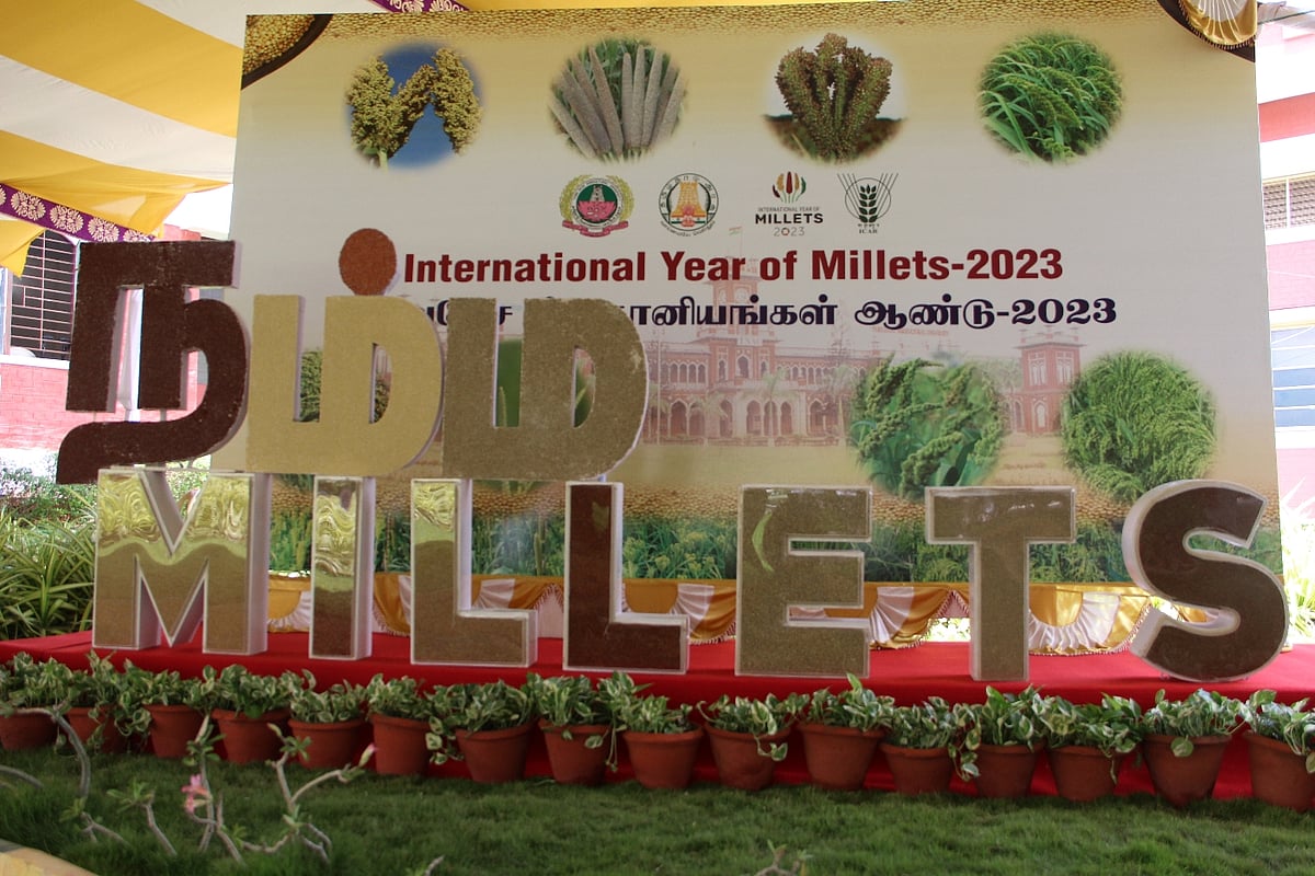 வேளாண் பல்கலையில் `சர்வதேச சிறுதானிய ஆண்டு -2023' சிறப்புக் கண்காட்சி ...