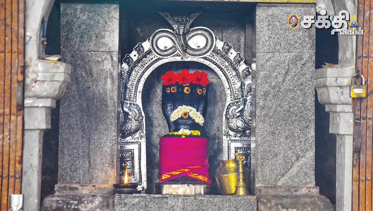 Sakthi Vikatan - 30 May 2023 - சர்ப்பதோஷ பரிகாரக் கோயில்|Sarppa thosham ...
