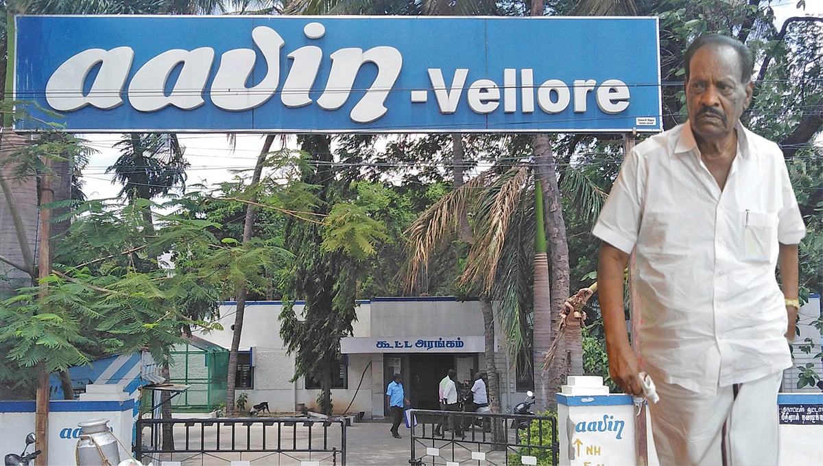 Junior Vikatan - 18 June 2023 - பால் திருட்டு... பஞ்சாயத்துப் பேசிய தி ...