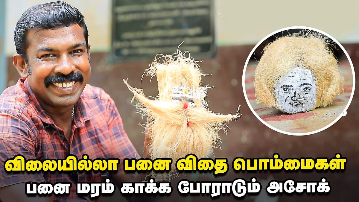 விலையில்லா பனை விதை பொம்மைகள்; பனை மரம் காக்கப் போராடும் அசோக்! | Human ...