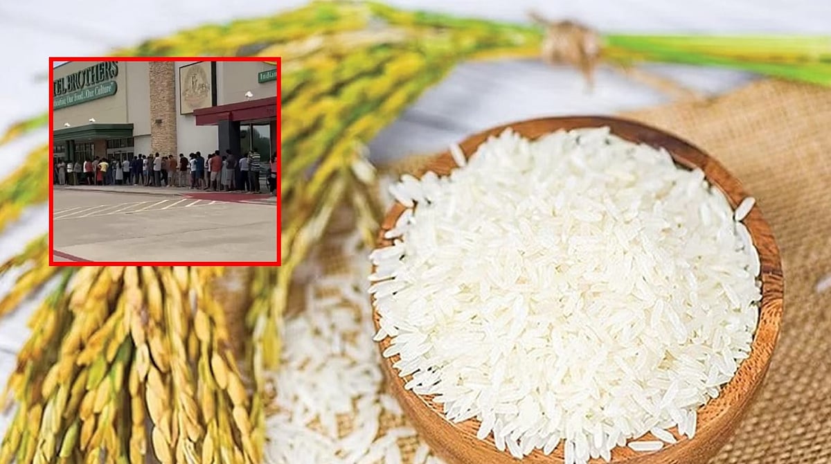 பாஸ்மதி அல்லாத வெள்ளை அரிசி ஏற்றுமதிக்கு மத்திய அரசு தடை! - அமெரிக்க ...