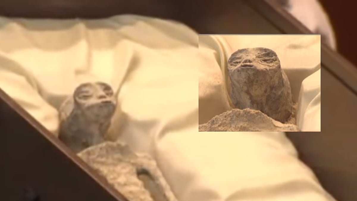 ஏலியன்களின் உடல்கள்தான் இவை: '1,000 ஆண்டுகள் பழைமையானவை' - மெக்ஸிகோ ...