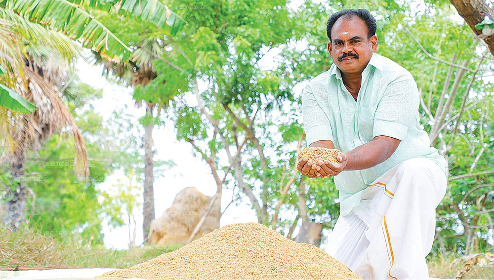 Pasumai Vikatan - 25 October 2023 - 4 மாதங்கள்... 10 ஏக்கர்... ரூ.3 ...