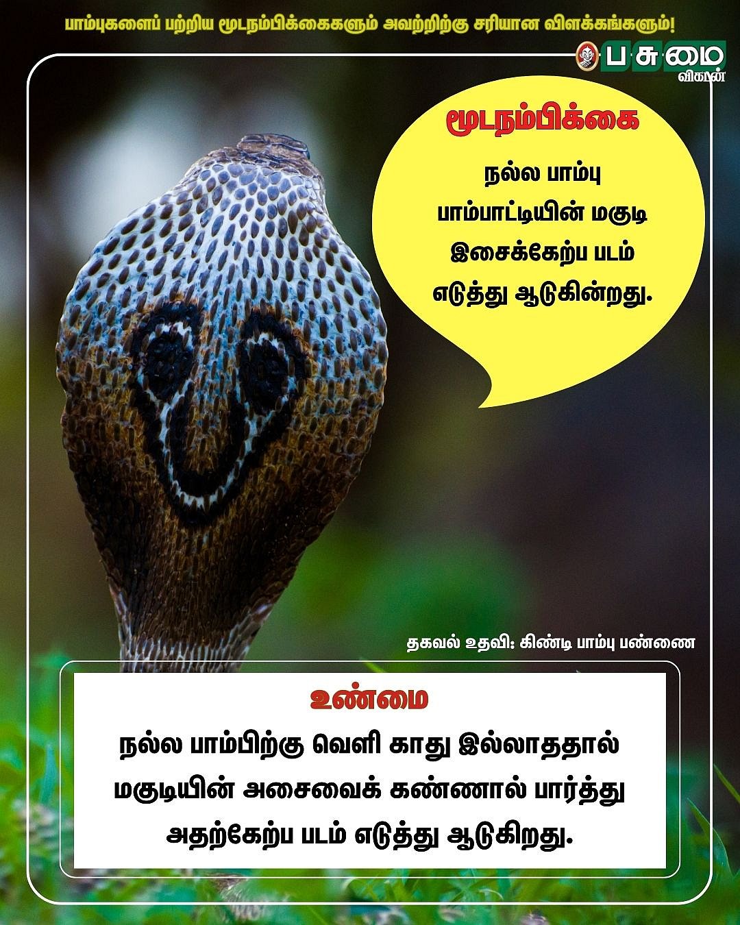 பாம்புகளைப் பற்றிய மூடநம்பிக்கைகளும் அவற்றிற்கு சரியான விளக்கங்களும் ...