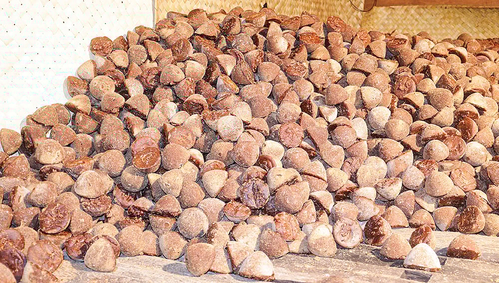 Pasumai Vikatan - 25 November 2023 - உடன்குடி கருப்பட்டிக்குப் புவிசார் ...