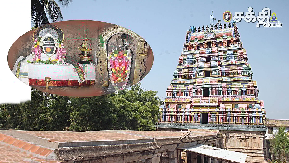 Sakthi Vikatan - 06 February 2024 - ஶ்ரீவாஞ்சியம் நீண்ட ஆயுளை வரமாகத் ...