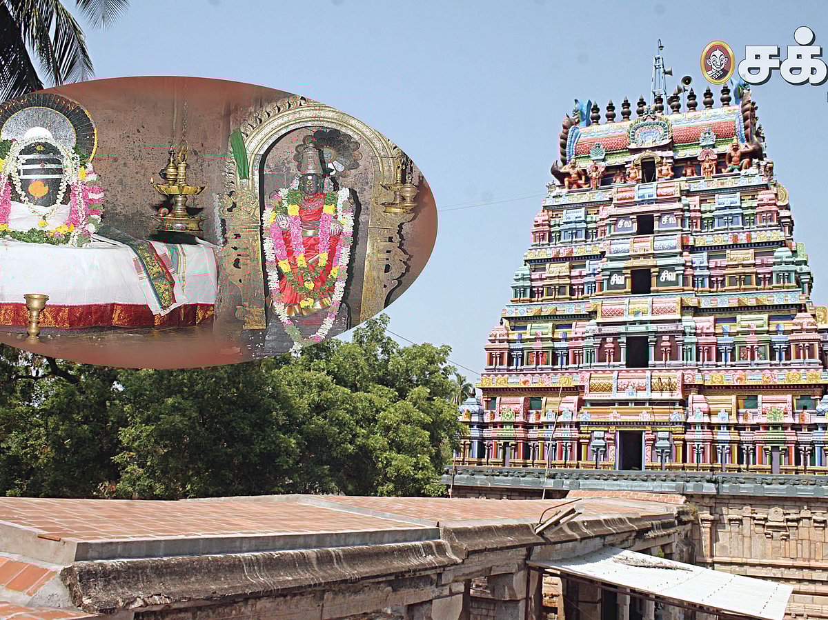 Sakthi Vikatan - 06 February 2024 - ஶ்ரீவாஞ்சியம் நீண்ட ஆயுளை வரமாகத் ...