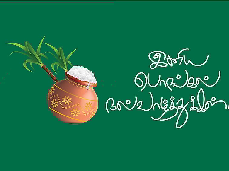 Pasumai Vikatan - 25 January 2024 - பொங்கலின் மணமும் சுவையும் கூடும் ...