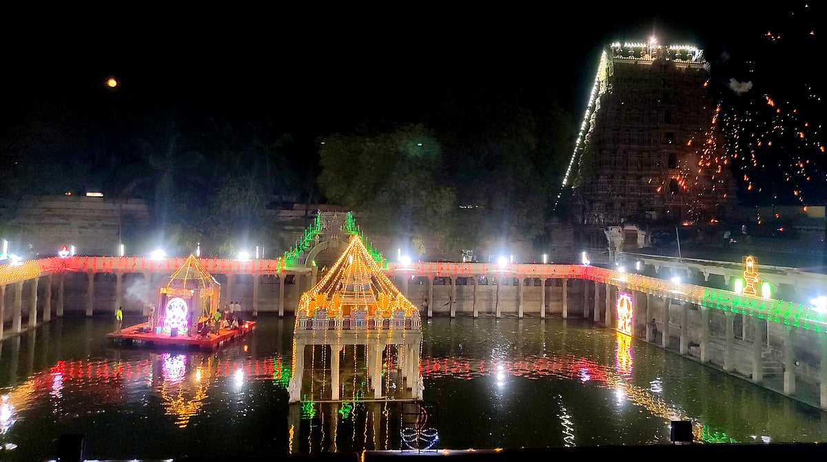 திருநெல்வேலி நெல்லையப்பர் கோயில்: அப்பருக்குத் தரிசனம் அருளிய மாசிமக ...