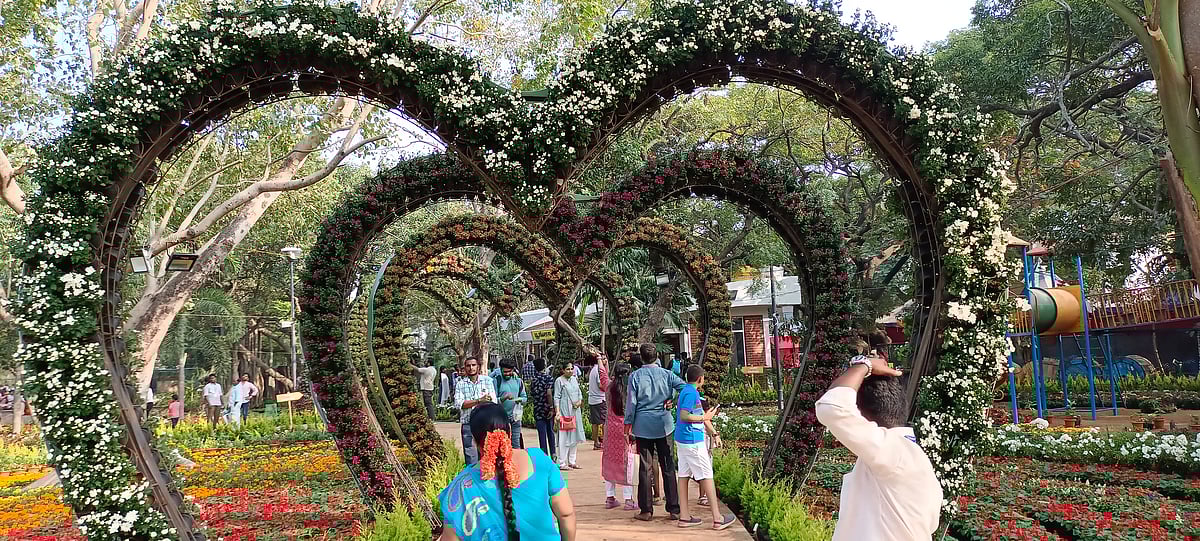 12 லட்சம் மலர்கள்... சென்னை செம்மொழி பூங்காவில் மலர் கண்காட்சி..! | 12 ...