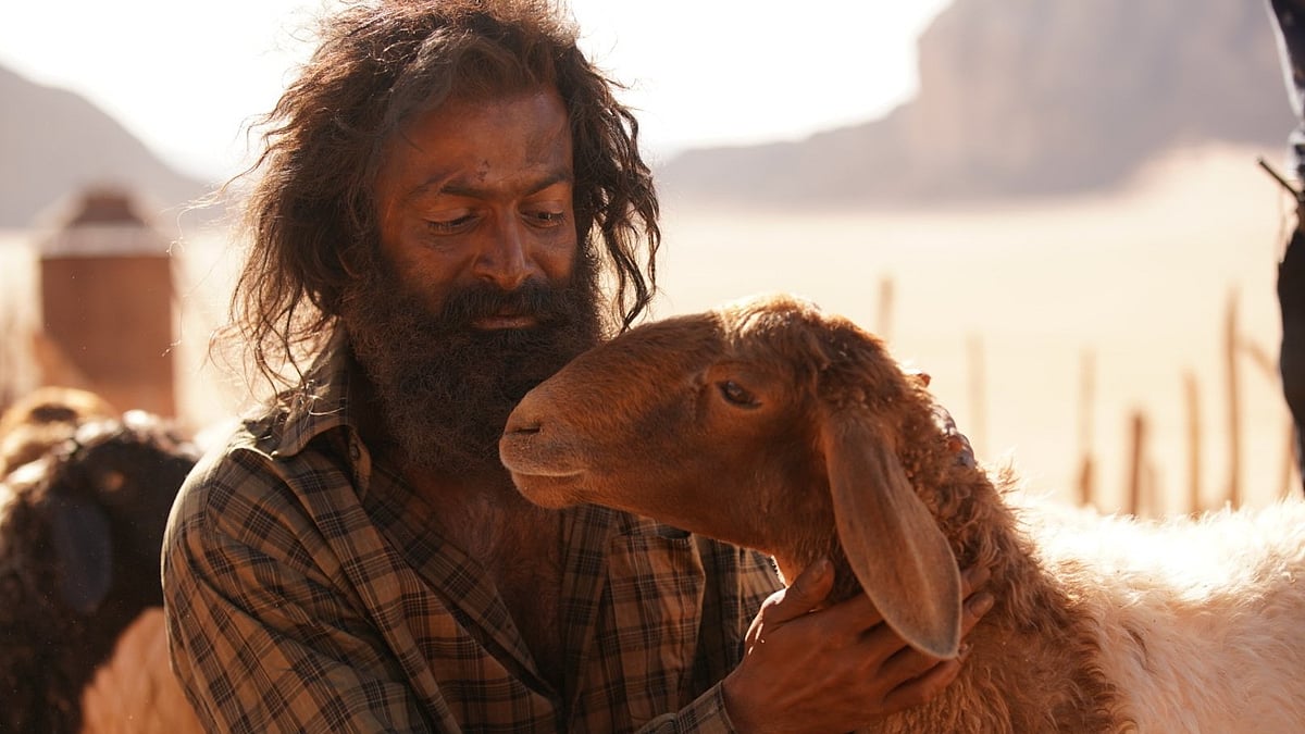 Aadujeevitham Review: பிரித்விராஜின் நடிப்பு, ஏ.ஆர்.ரஹ்மானின் மேஜிக் ...