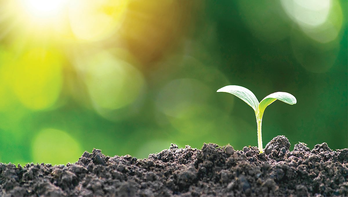 Ananda Vikatan - 17 April 2024 - சொல்வனம் அதிலொரு பூப் பூக்கும் ...