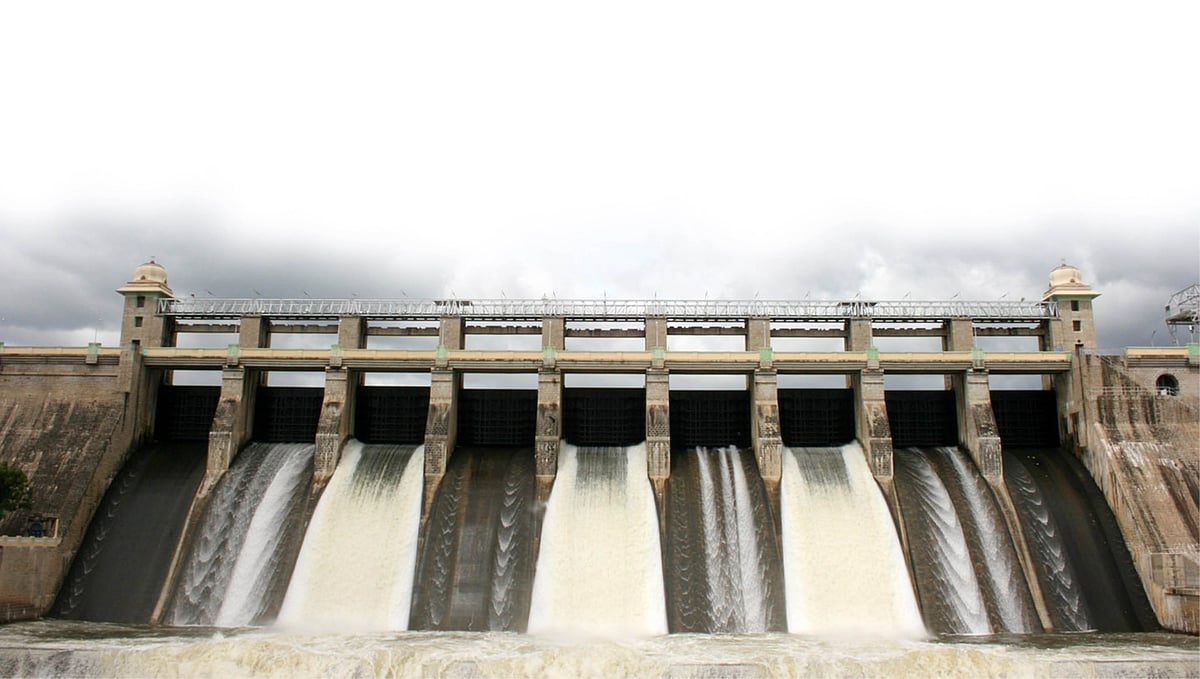 Junior Vikatan - 02 June 2024 - கேரள சிலந்தி ஆற்றின் குறுக்கே தடுப்பணை ...