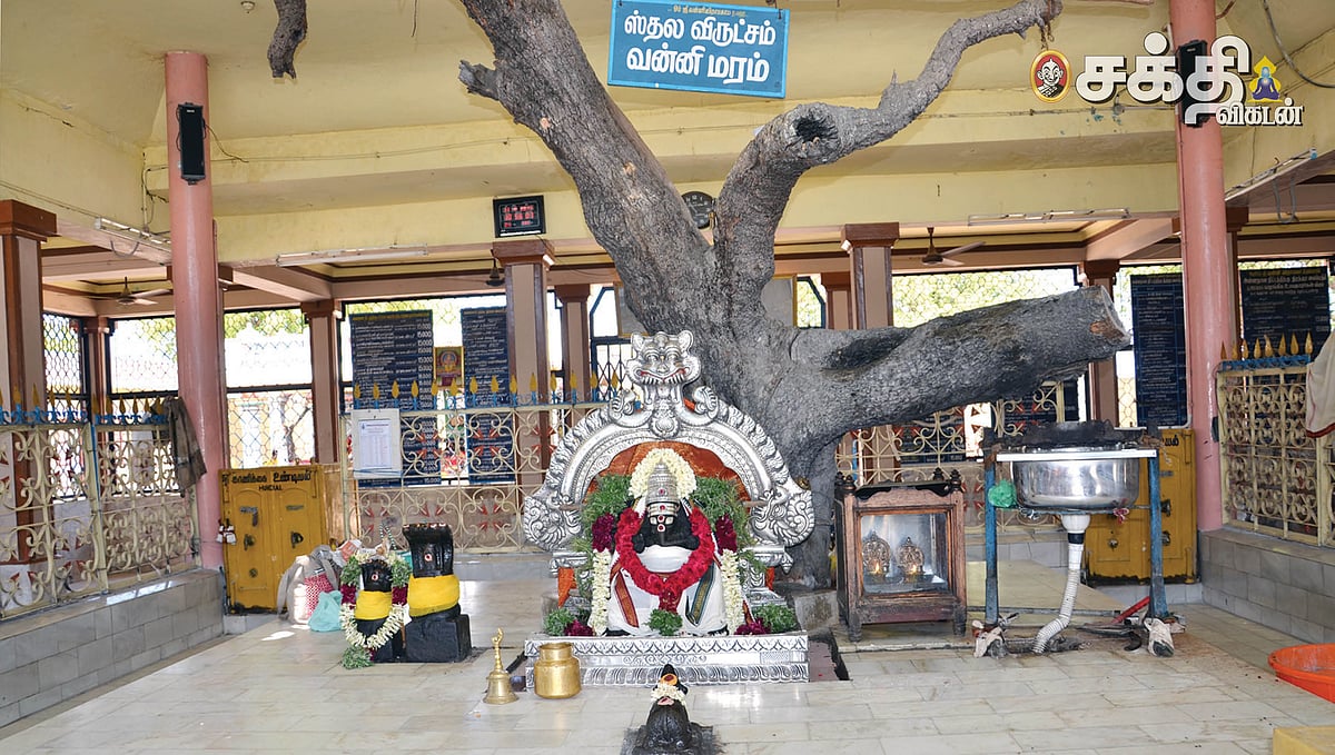 Sakthi Vikatan - 09 July 2024 - ஓடைப்பட்டி வன்னி விநாயகர் மகிமைகள் ...