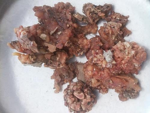 1 கிலோ ரூ.2,000?! கழிவல்ல காசு! முருங்கை பிசின் கொடுக்கும் வருமானம் ...