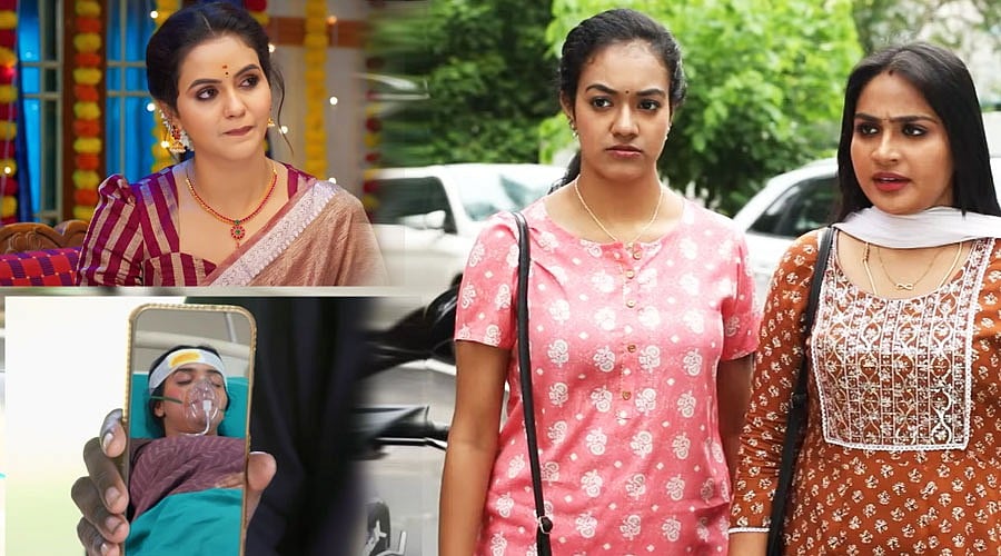 Serial Today: மீனாவுக்கு வரப்போகும் பிரச்னை; எழிலுக்கு வந்த சந்தேகம் ...