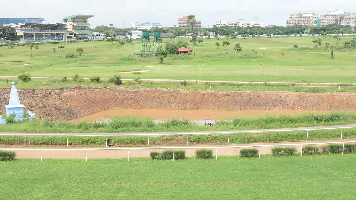 Vikatan Plus - 20 October 2024 - குளங்களாக மாற்றப்படும் கிண்டி ரேஸ் ...