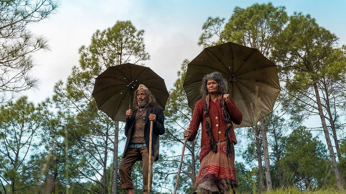 Vikatan Plus - 01 December 2024 - ஒரு கிராமத்தில் ஒரே ஒரு பாட்டி ...