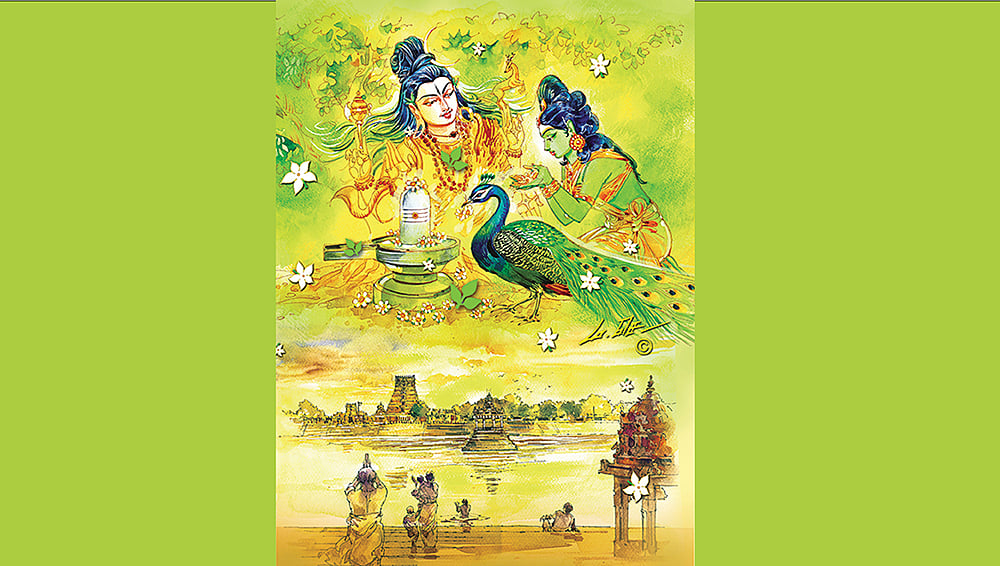 Sakthi Vikatan - 15 April 2025 - அறுபத்துமூவர் விழா: திருமயிலையில் ...