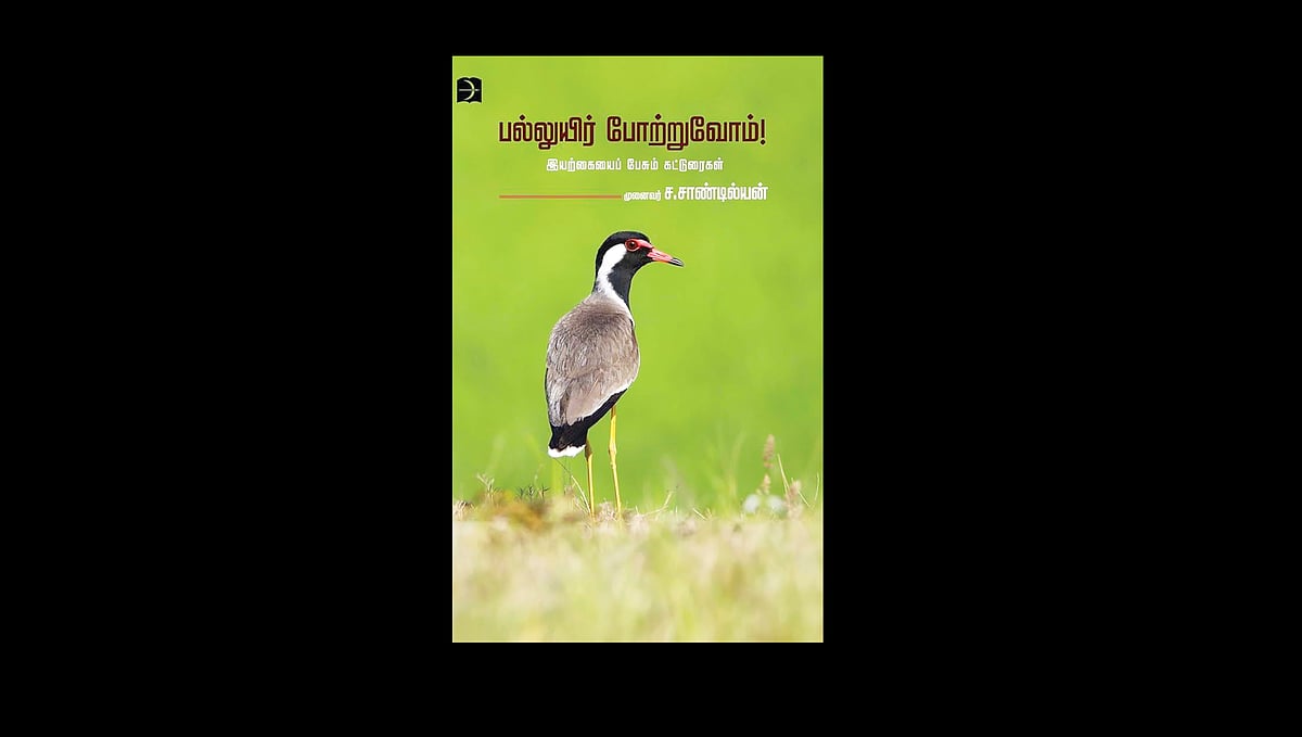 Ananda Vikatan - 30 July 2025 - படிப்பறை! | book review padipparai ...