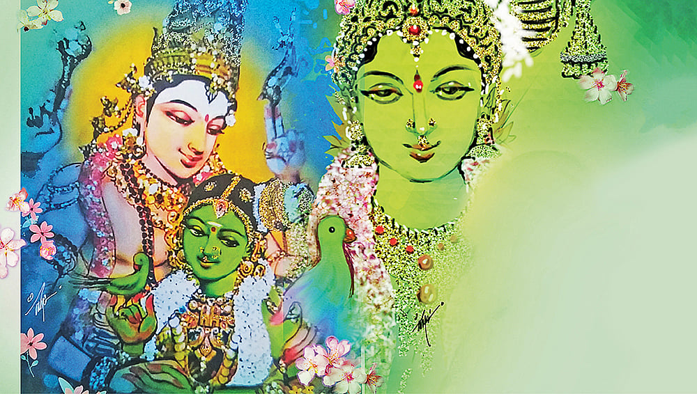 Sakthi Vikatan - 11 November 2025 - பரிகார மலர்கள்: சரக்கொன்றை மகிமைகள் ...